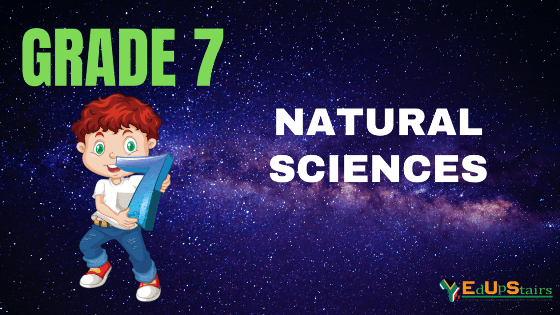 GRADE 7 NATURAL SCIENCES - Edupstairs