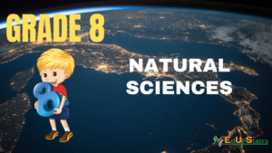 GRADE 8 NATURAL SCIENCES - Edupstairs