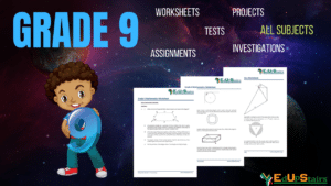 GRADE 9 WORKSHEETS, TESTS, ASSIGNMENTS, INVESTIGATIONS AND PROJECTS ...