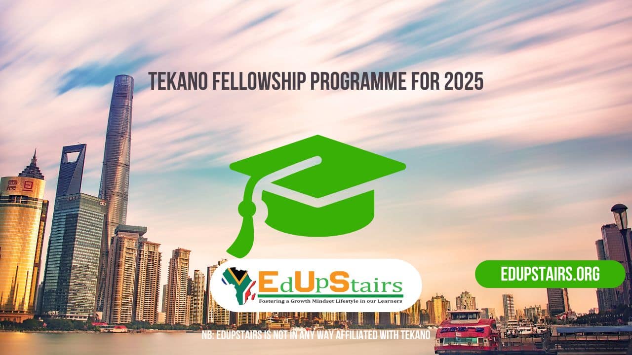 Tekano Fellowship Programme for 2025 - Edupstairs