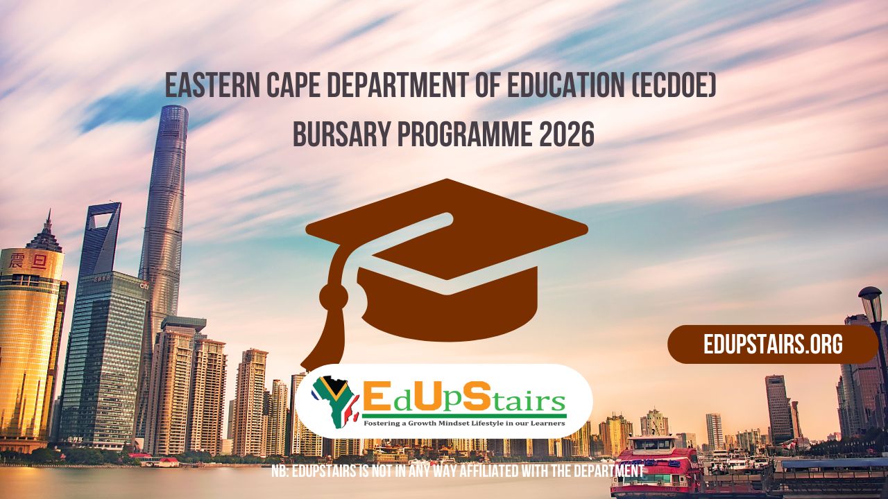Eastern Cape Department of Education (ECDOE) Bursary Programme 2026 ...